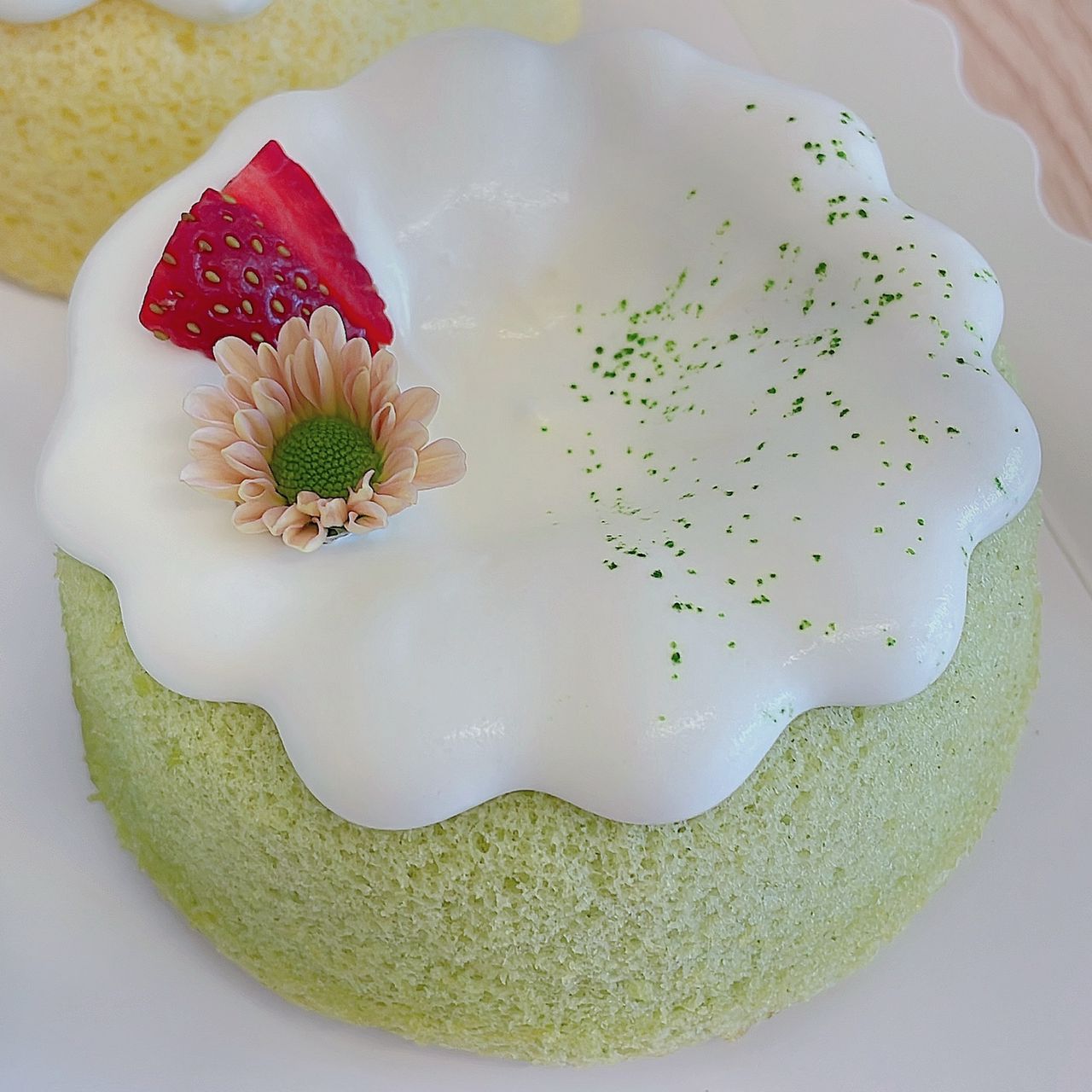 MINI HAPPY PANDAN - Pandanese